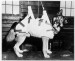 Dogs at World War 2 | WW2 Gravestone