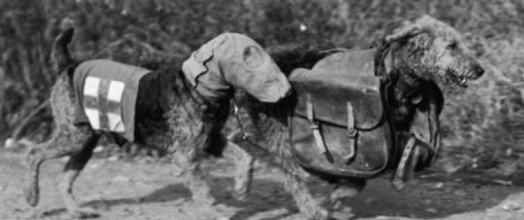 Vehicles Archive - WW2 Gravestone