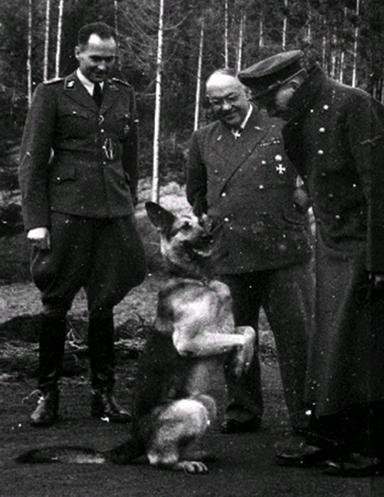 Hitler’s dog Blondi | WW2 Gravestone
