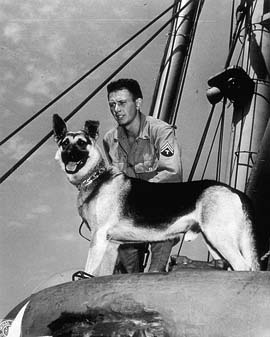 Dogs at World War 2 | WW2 Gravestone