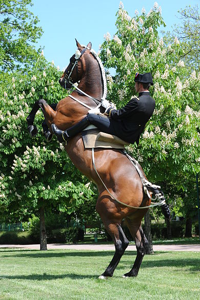 Feldt, Kurt Friedrich Konrad. | WW2 Gravestone