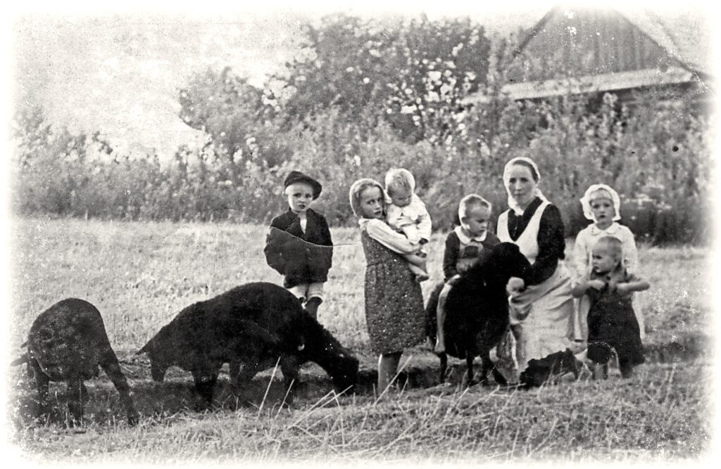 Ulma, Józef and Wiktoria and their six children. | WW2 Gravestone