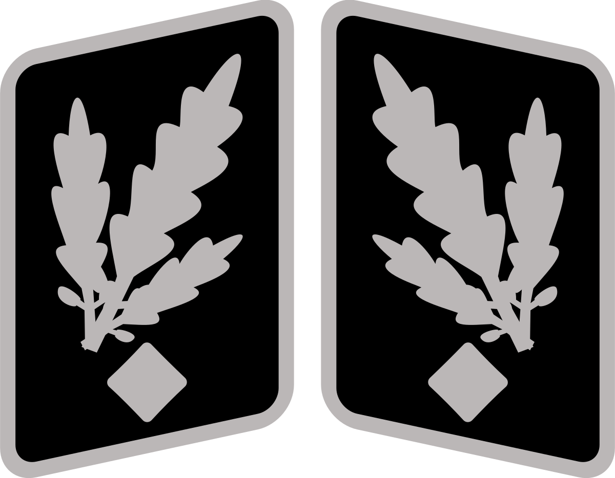 Scheel, Gustav Adolf. | WW2 Gravestone