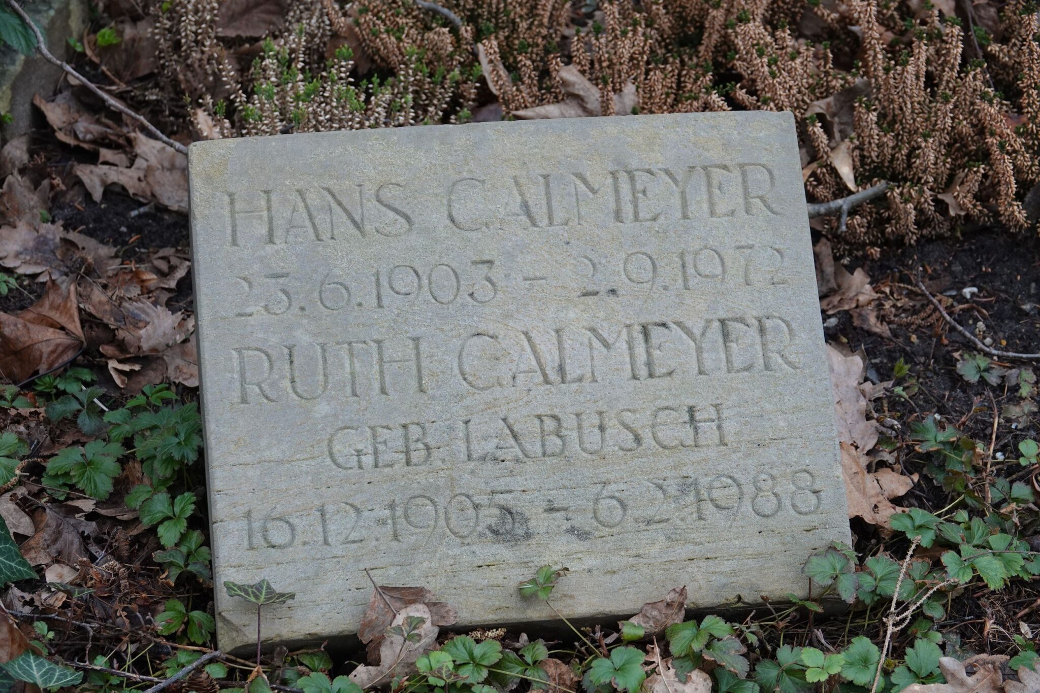 Calmeyer, Hans Georg. | WW2 Gravestone